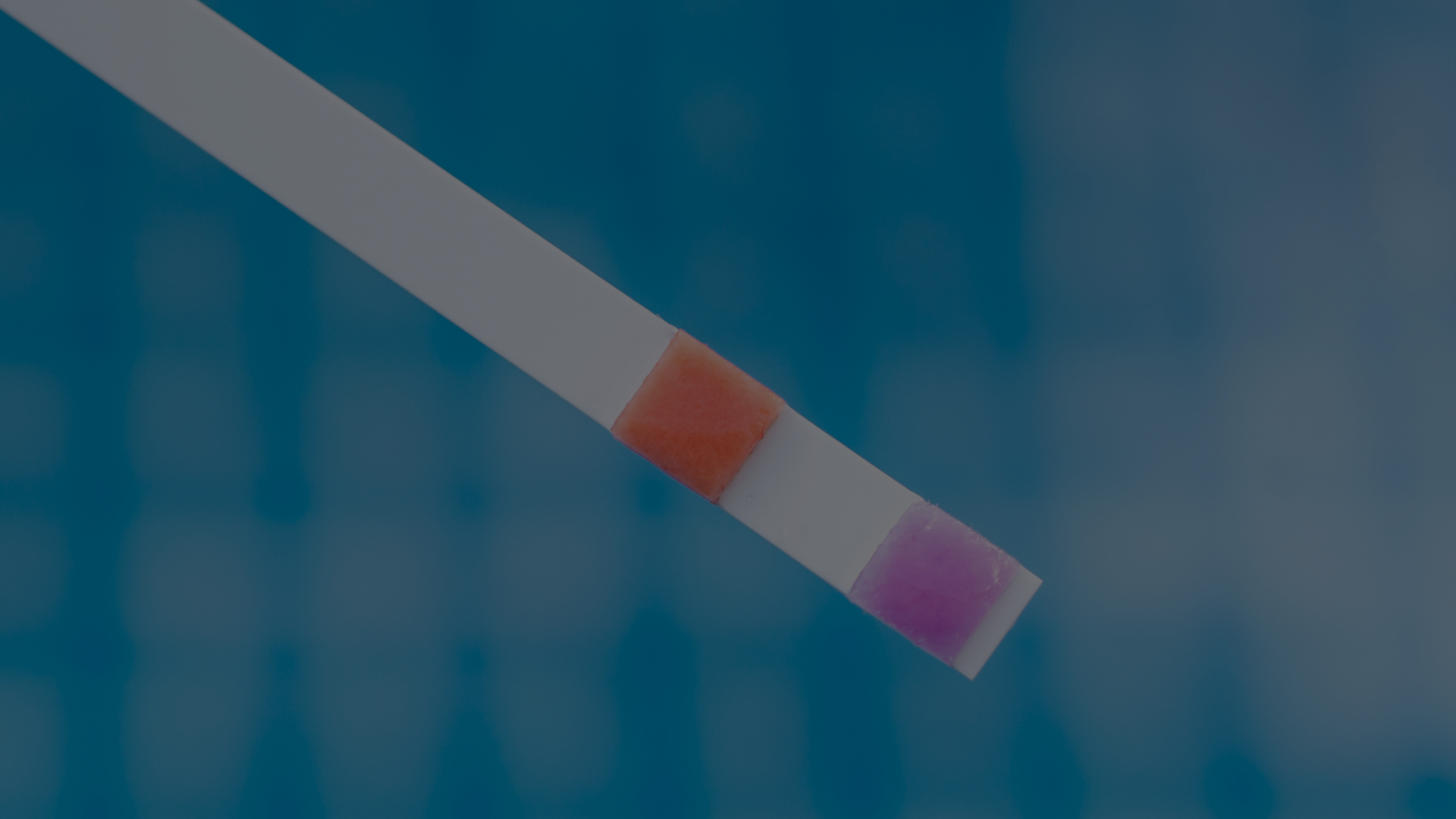 Pool Test Strips: How to Use Them the Right Way - Sunset Pools